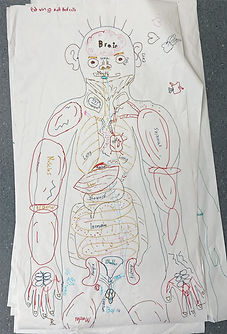 Animal Body Systems | Science with Dobrich